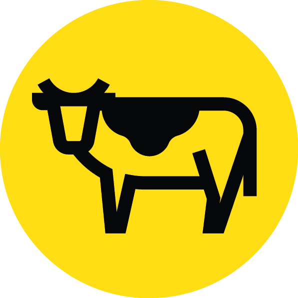 Cattle Monitoring – United Mesh Solutions